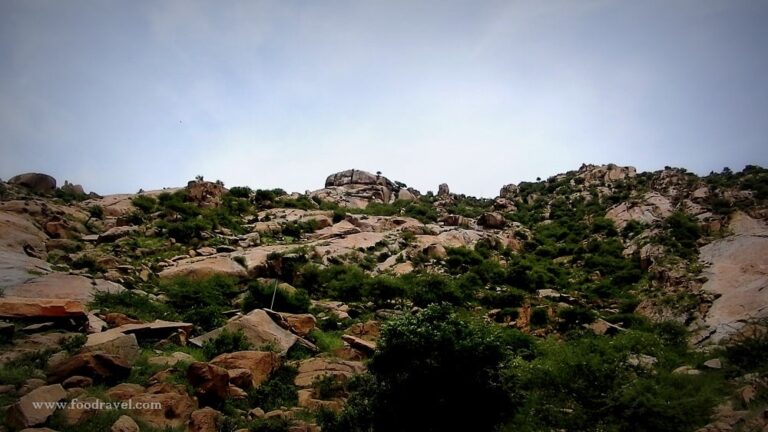 Dhosi Hill Travel Guide: History, Mythology, Geology Mahendergarh