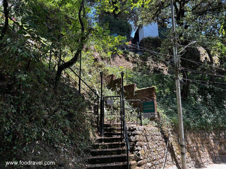 Landour Bakehouse: Why This Café Is a Must-Visit in Mussoorie